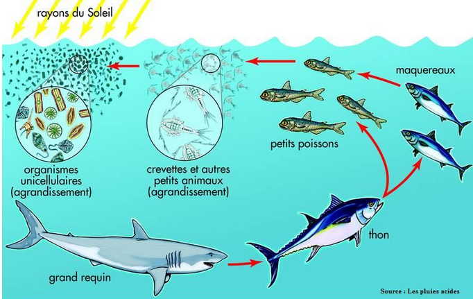 La lettre de la nature